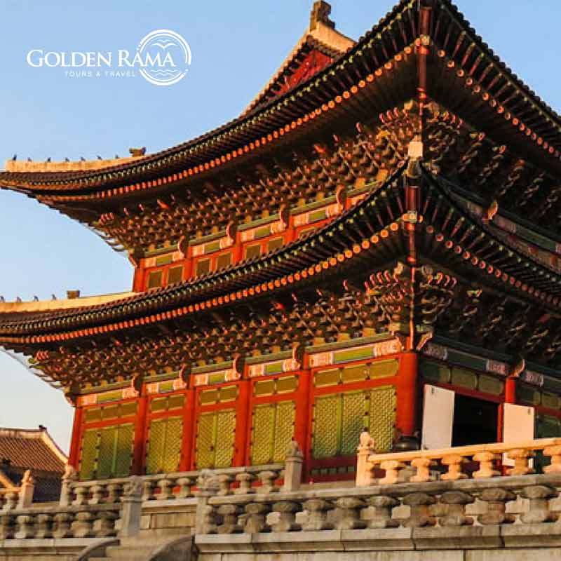 Jual Golden Rama Tour Super Sale Korea Jeju Cherry Blossom Petite ...