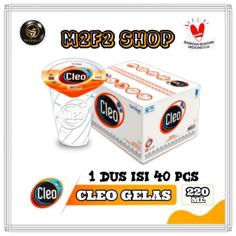 Promo Air Mineral Cleo Gelas Plastik - 220 ml (Kemasan Karton) Diskon ...