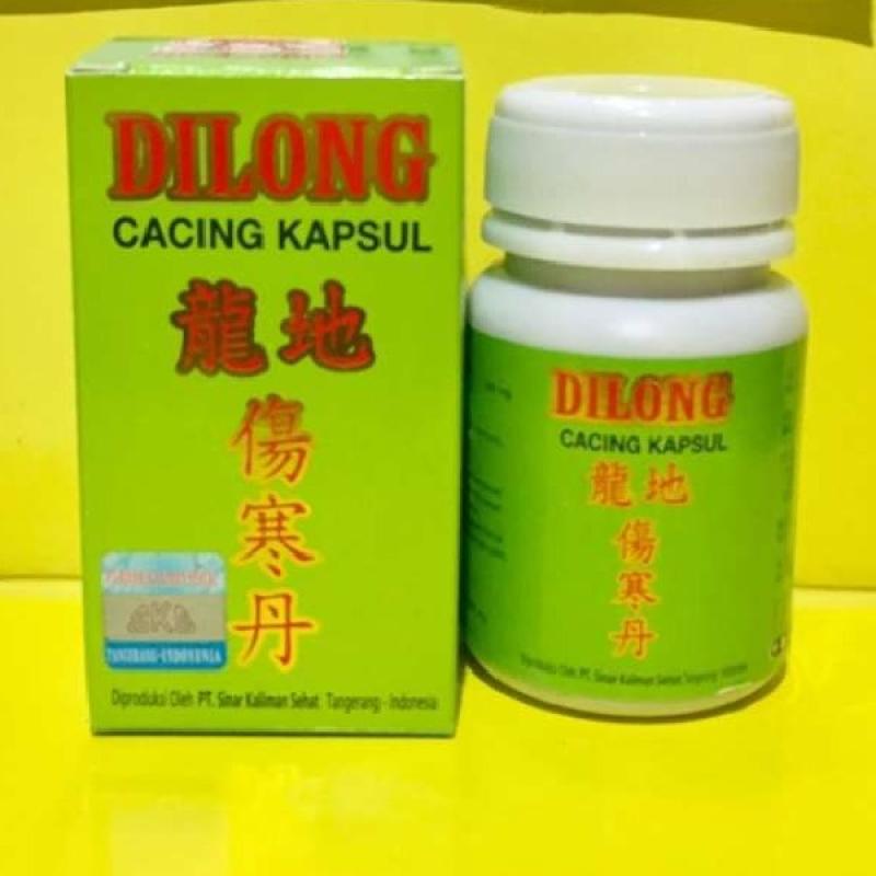 Promo Dilong Kapsul Cacing Obat Tifus / Tipes / Typhus / Panas Dingin ...