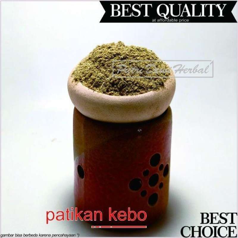 Promo Patikan Kebo Bubuk 500 Gram - Serbuk Daun Biji Kacang ( Euphorbia ...