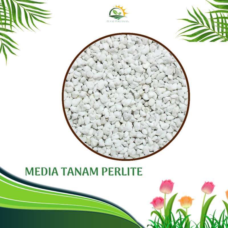 Jual PERLITE 1 LITER media tanam hidroponik alas kandang alas reptil ...