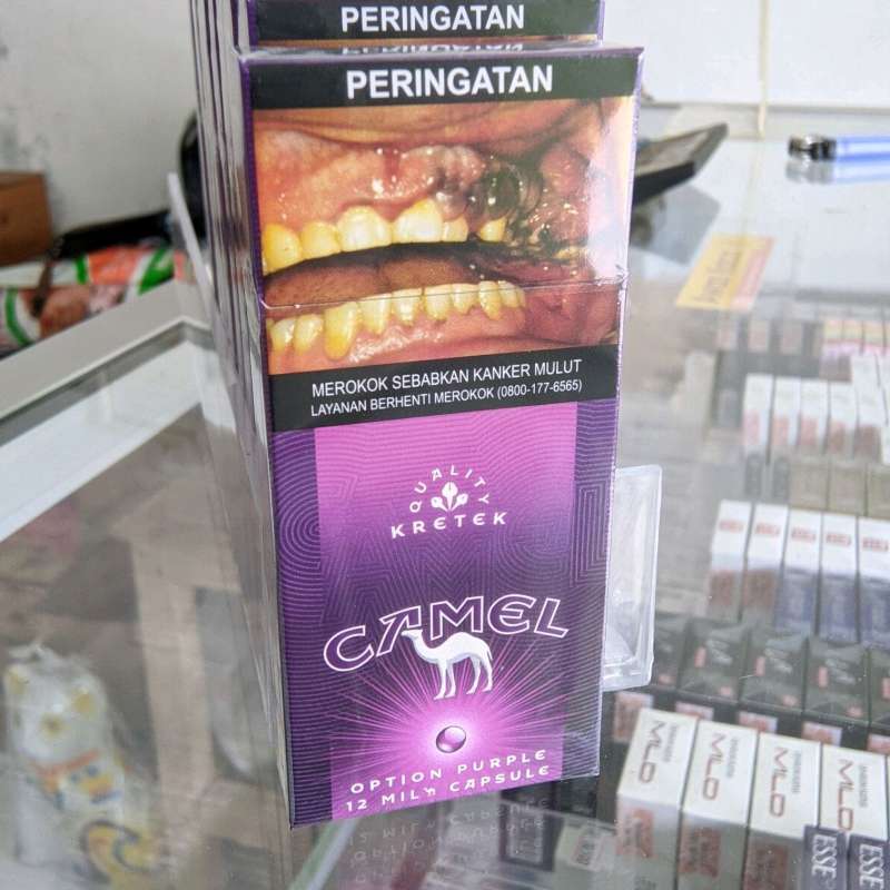 Jual Camel Option Purple 12 Batang Di Seller Joara - Toko Joara - Kota ...