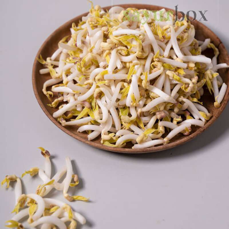 Jual Sayurbox Tauge Jepang Moyashi Konvensional 200 gram - JKT Halal di ...