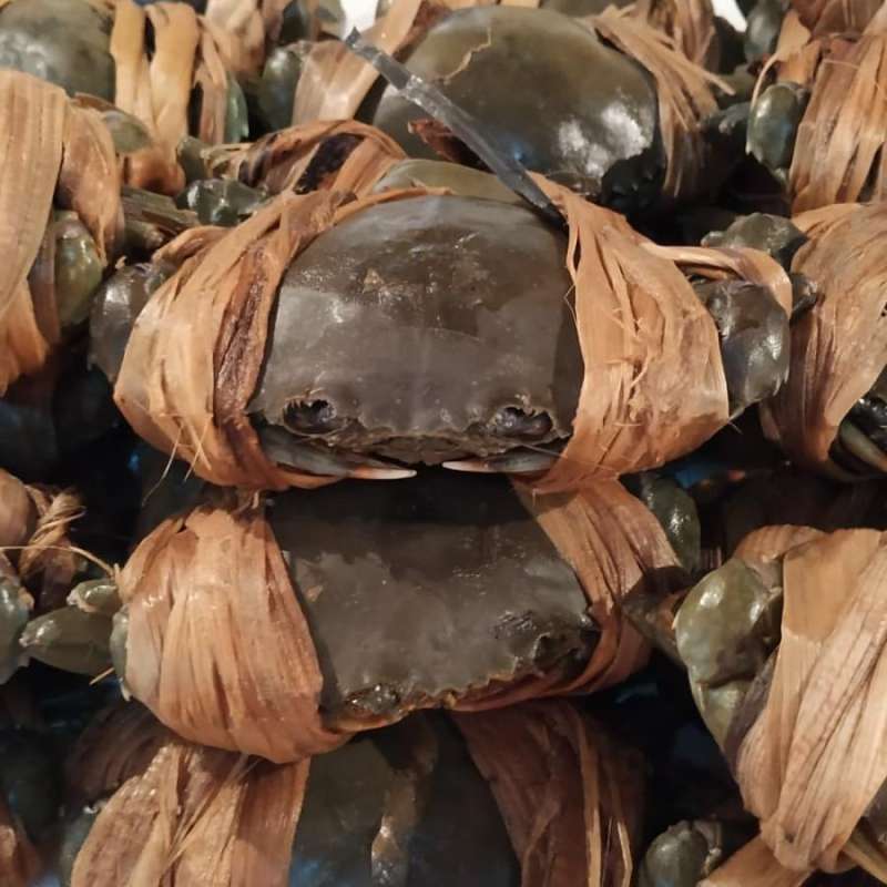 Jual Kepiting Daging Segar Hidup 4-ekor 1.0kg Halal Di Seller Suplier ...