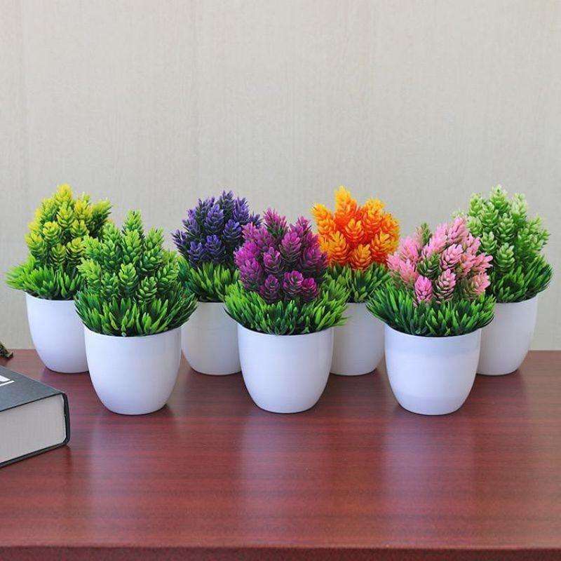 Jual Pot Tanaman Pohon Pinus Pink Pajangan Meja Ruang Tamu Kantor Cafe ...