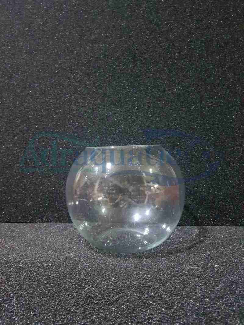 Jual Fishbowl Kaca Terdekat 🏷️ Harga Grosir Murah Terupdate Hari Ini ...