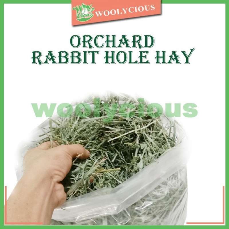Jual Orchards pakan 1 rumput kg Rabbit Hay kelinci makanan Brand cavy ...