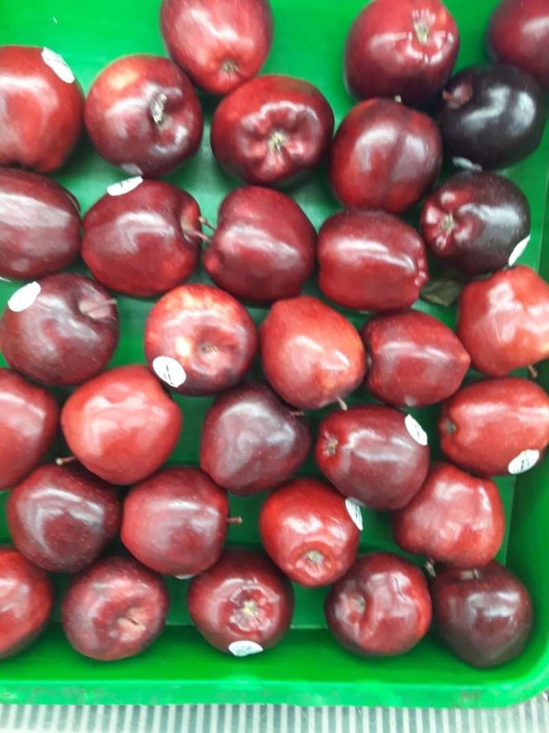 Jual Buah Apel Red Del Usa Di Seller Cmf Shop - Randusari, Kota ...