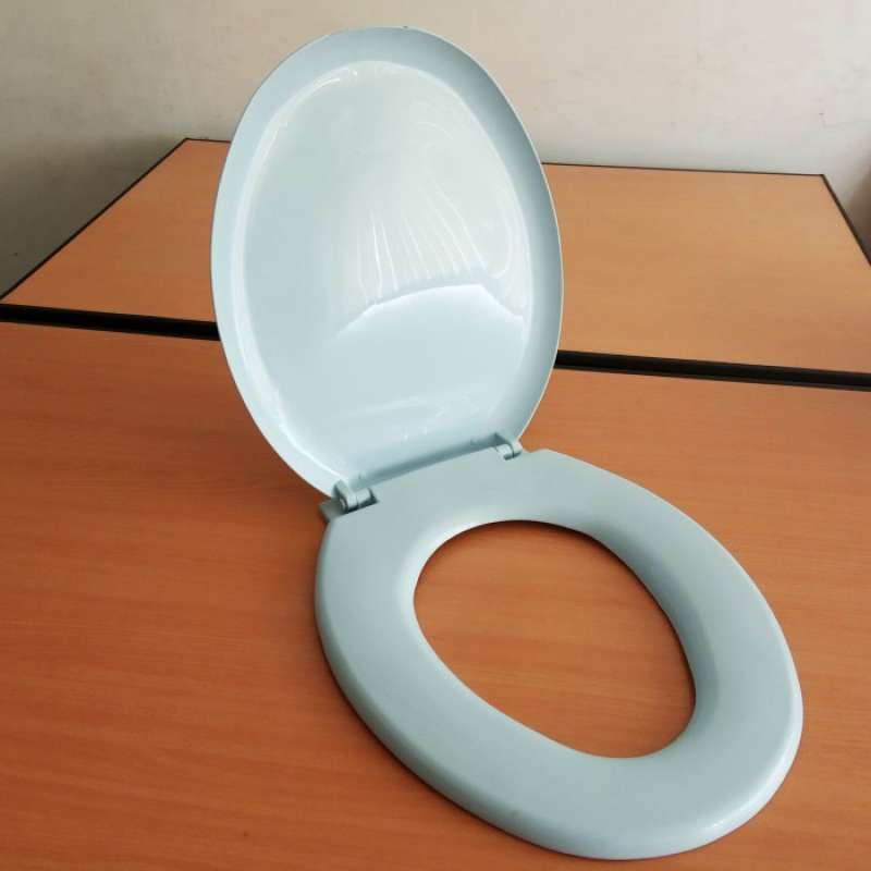 Jual MODEL TOTO Tutup Closet Duduk BISA BUAT SEMUA MERK BIRU MUDA di ...