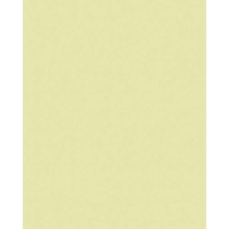 Jual Taco Hpl Solid Original Murah - Harga Diskon April 2024 | Blibli.com