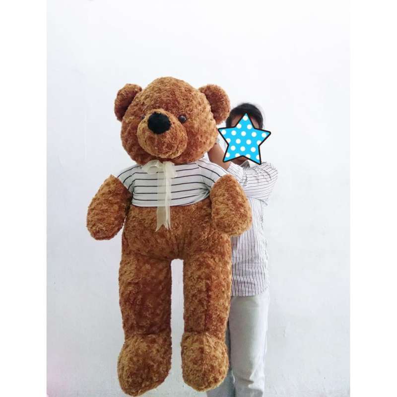 Jual Boneka Teddy Bear 1 M Original Harga Termurah April 2024 | Blibli