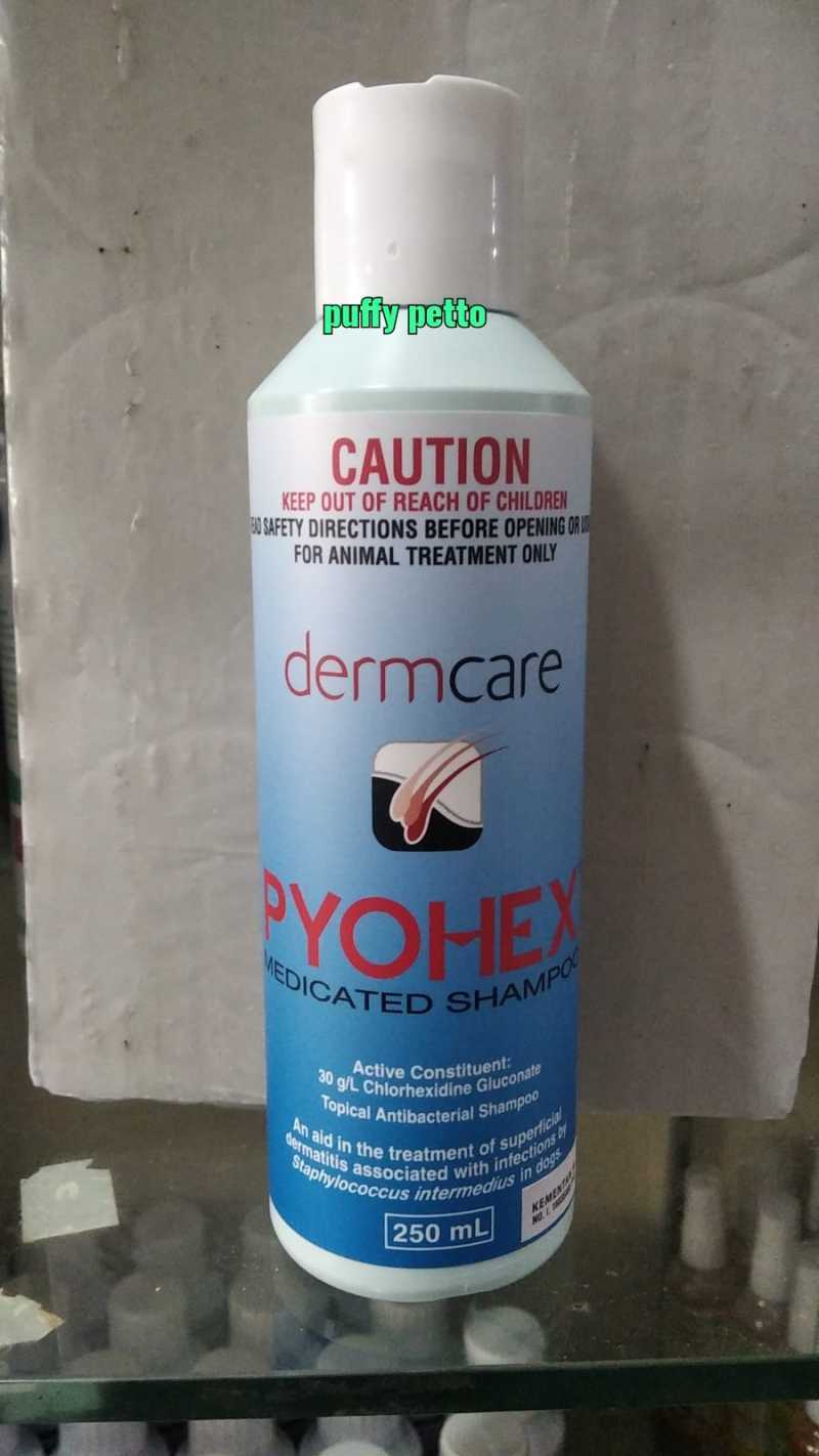 Jual puffy petto DermCare Pyohex Medicated Shampoo 250ml di Seller ...