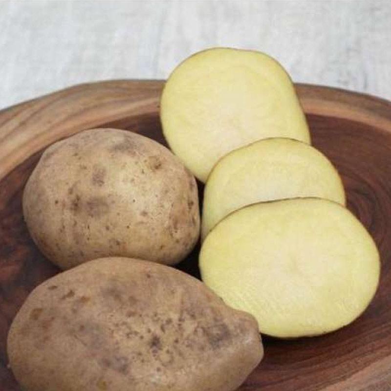 Promo Rumah Sayur Alam Sutera Kentang Besar [500 g] Diskon 31% di ...