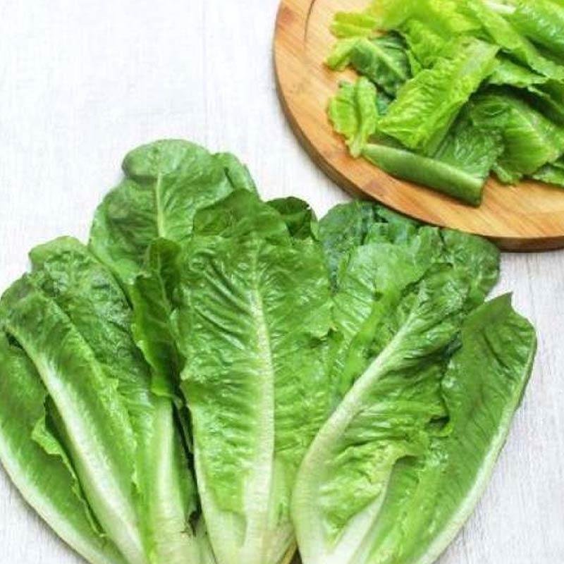 Promo Rumah Sayur Alam Sutera Selada Romaine [500 g] Halal Diskon 8% di ...