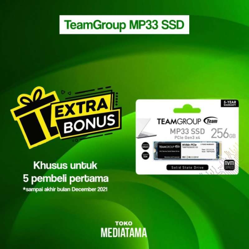 Promo Team TeamGroup MP33 256GB Internal SSD M.2 PCIe SSD 220S Gen 3x4 NVMe - Multycolour Diskon ...