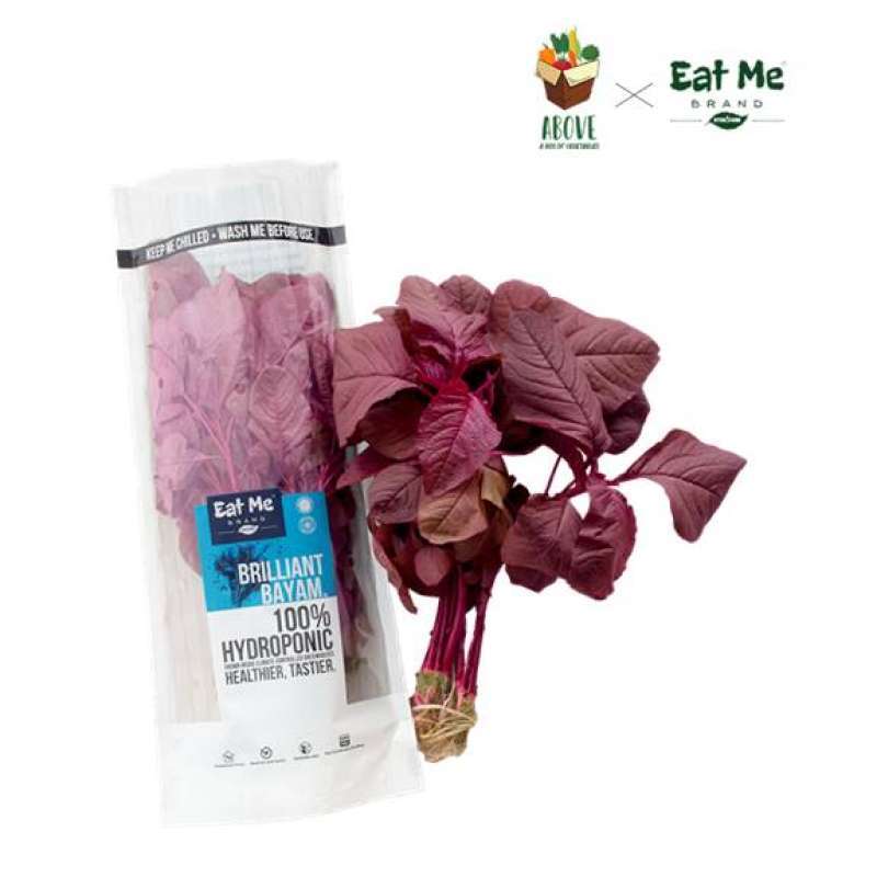 Jual Sayur ABOVE x EATME Brilliant Bayam Merah Pack - Hidroponik di ...