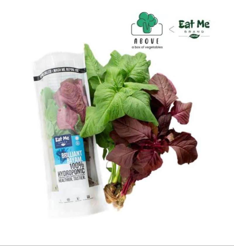 Jual Sayur ABOVE x EATME Brilliant Bayam Merah Pack - Hidroponik di ...
