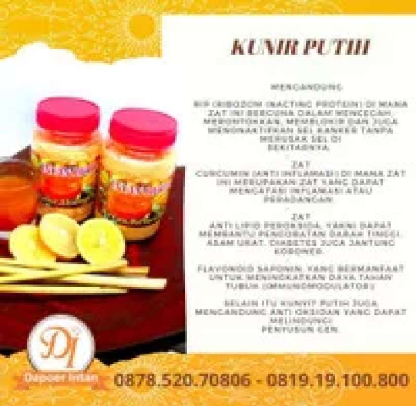 Promo Dapoer Intan Minuman Bubuk Kunir Putih- Jamu Instant - Organik ...