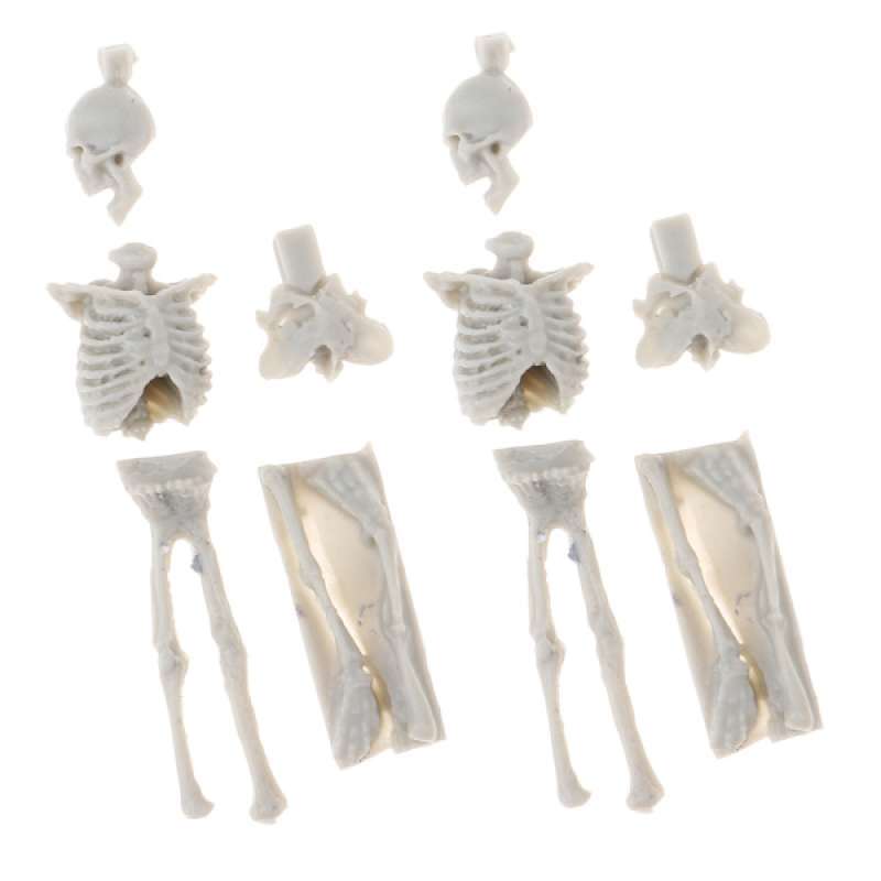 Promo 1:35 Mini Resin Unpainted Skull Skeleton Model Layout for Diorama ...