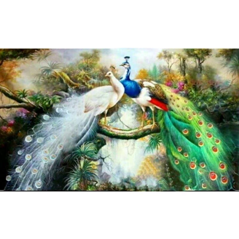 10 Lukisan Pemandangan Burung Merak - Belajar Melukis