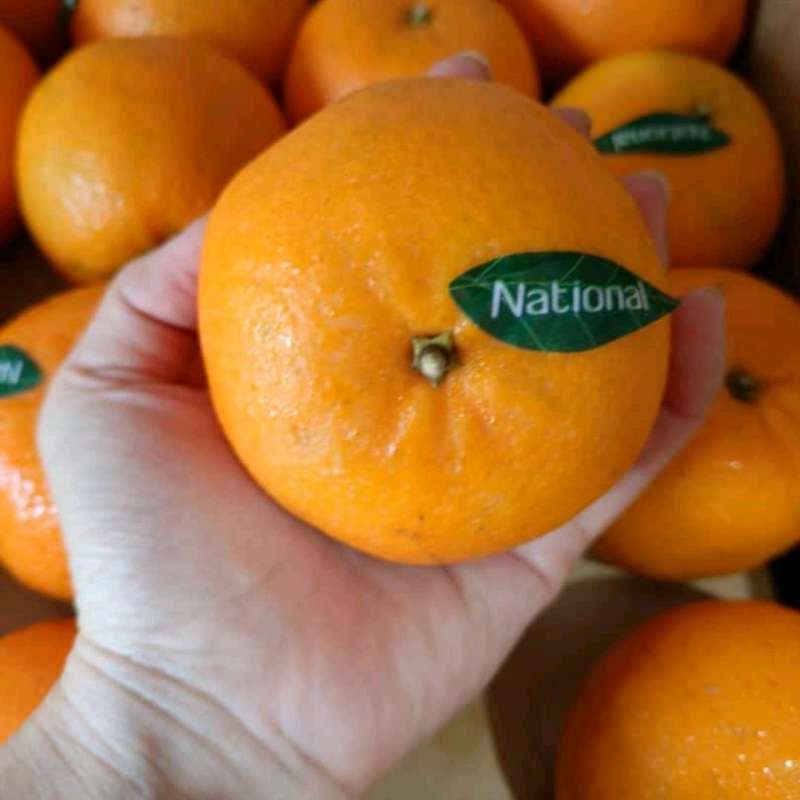 Jual Buah Jeruk Farm Fresh Pakistani Kinnow Jeruk Kino Di Seller Clarif ...