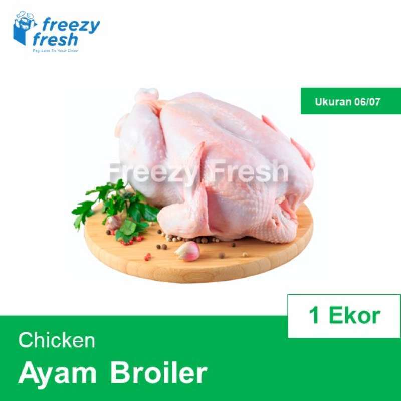 Jual FREEZY FRESH Ayam Broiler Frozen [1 ekor] di Seller Freezy Fresh ...