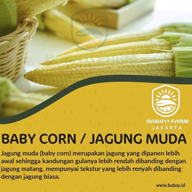 Jual Jagung Muda / Baby Corn / Jagung Acar / Janten / Putren - 1 Kg Di ...