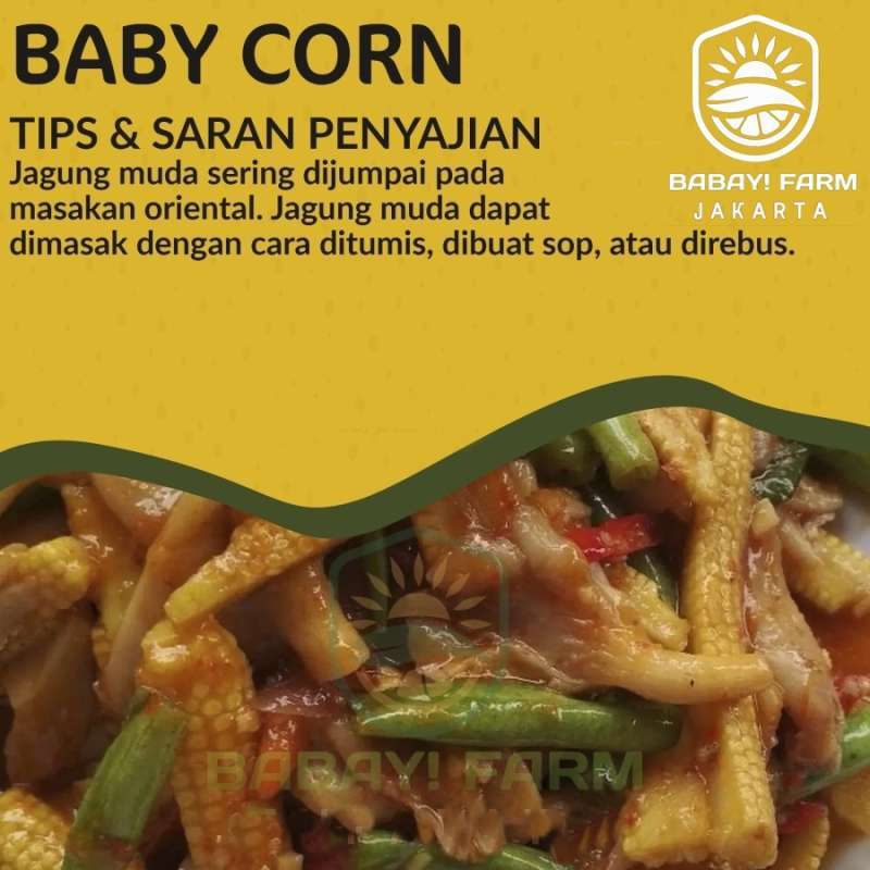 Jual Jagung Muda / Baby Corn / Jagung Acar / Janten / Putren - 1 Kg Di ...