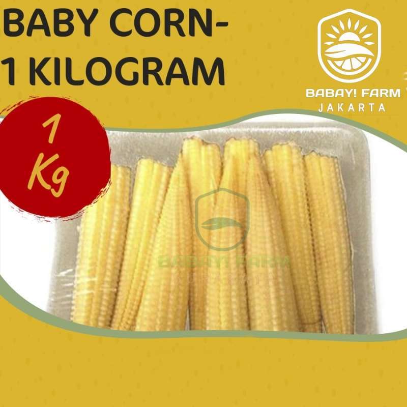 Jual Jagung Muda / Baby Corn / Jagung Acar / Janten / Putren - 1 Kg Di ...