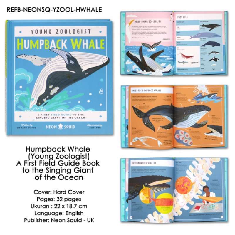 Jual Humpback Whale (young Zoologist) - A First Field Guide Book To The ...
