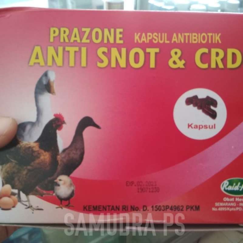 Promo Prazone Anti Snot Crd Kapsul Obat Ayam Bebek Entok 1Box Isi 30 ...