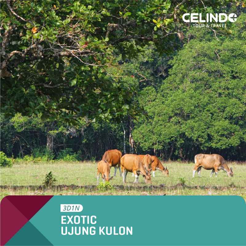 Jual Celindo Tour & Travel Exotic Ujung Kulon Tour Domestik [3 Days/ 1 ...