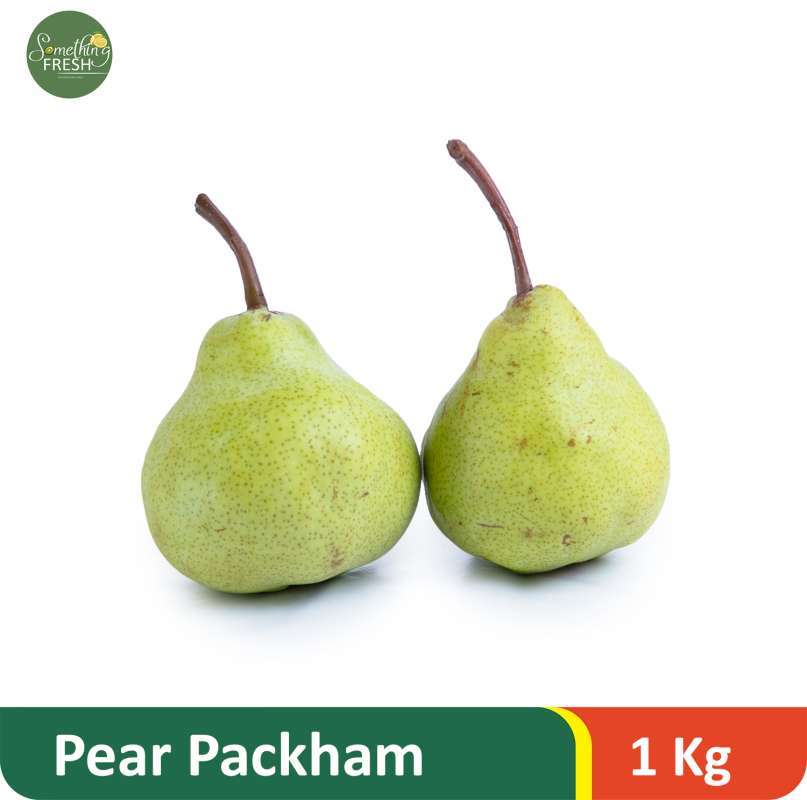 Jual Pear Packham - Afrika 1 Kg di Seller Something Fresh - Kota ...
