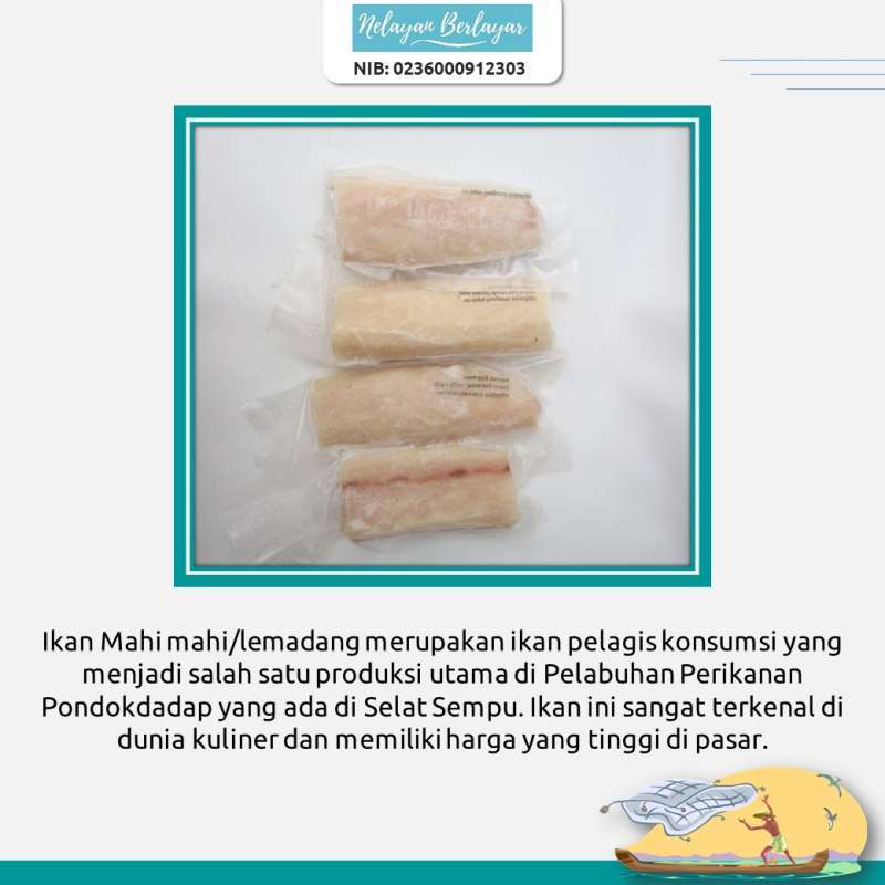 Jual Ikan Fillet Mahi Mahi / Ikan Mahi Mahi Kualitas Export / Ikan ...
