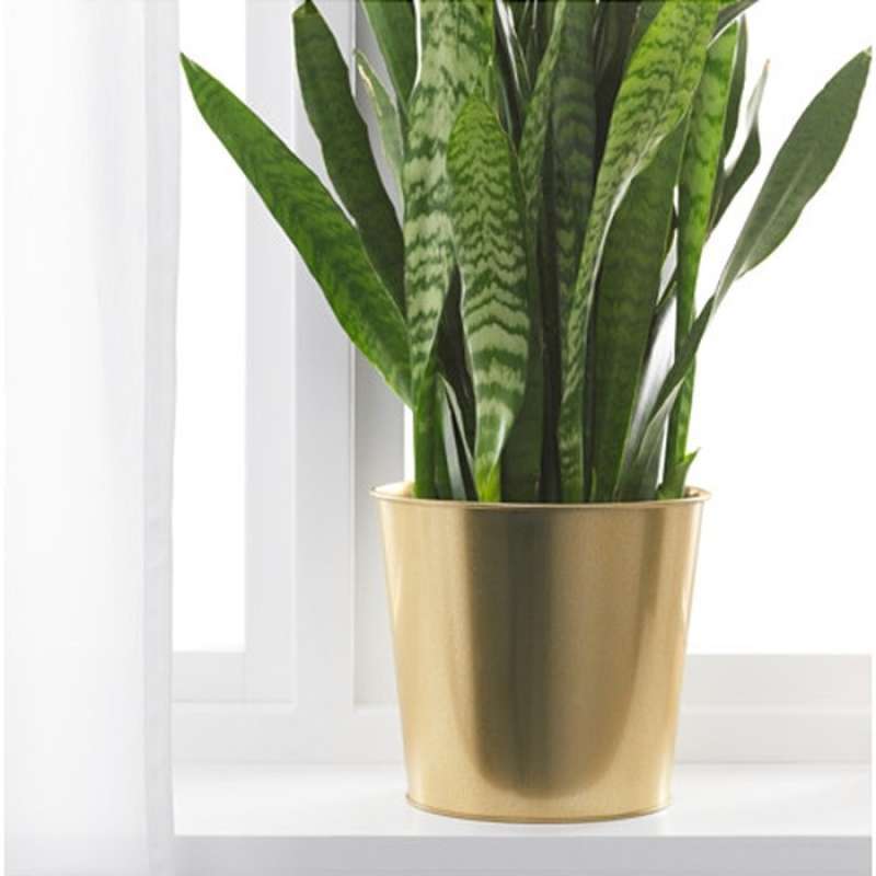 Jual Pot untuk tanaman berwarna kuningan ukuran 19cm DD di Seller Denis ...