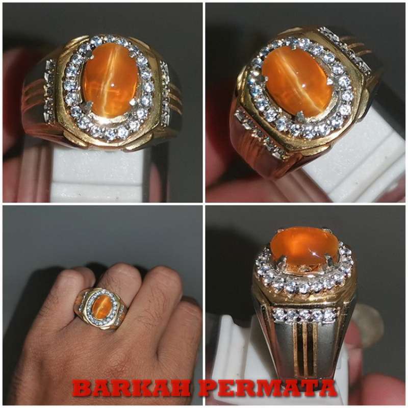 Jenis Batu Akik Mata Kucing