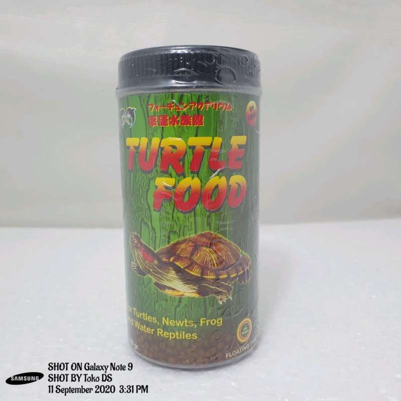 Jual Lily Turtle Termurah - Harga Grosir Terupdate Hari Ini | Blibli
