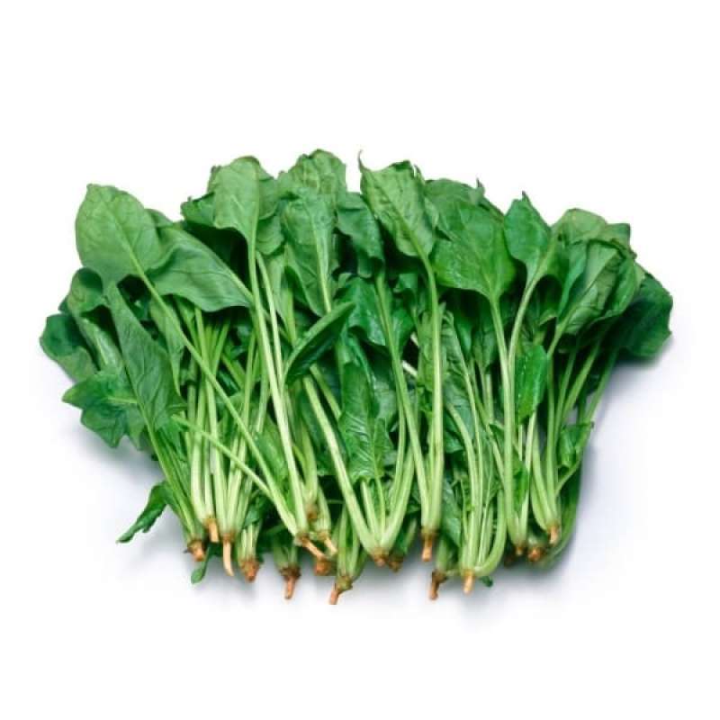 Jual Harga Sayur Pocay Termurah - Harga Grosir Terupdate Hari Ini | Blibli