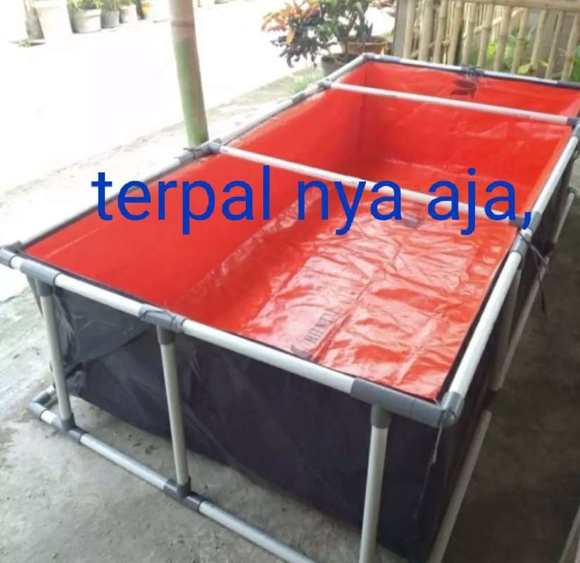 Kolam Ikan Lele Terpal