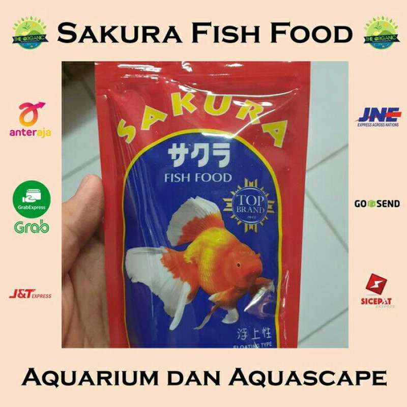 Jual Sakura Koi Fish Food (aquarium Dan Aquascape) Di Seller Fat Bahan ...