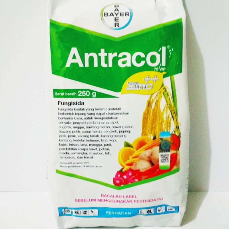Jual Antracol 250 Gram Obat Busuk Bunga Anggrek Fungisida Pestisida ...