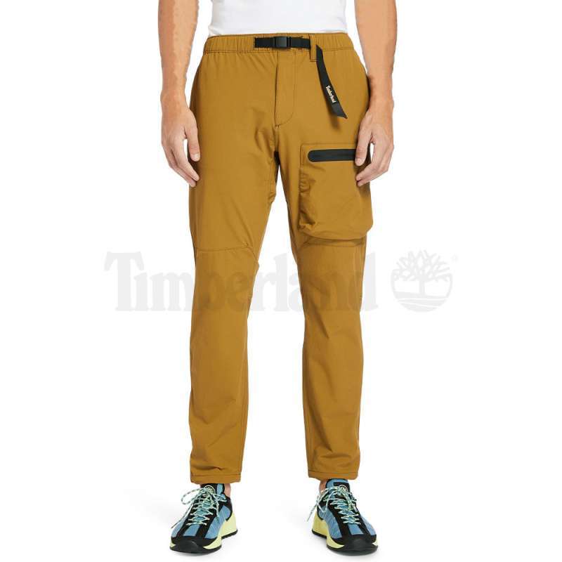 Jual Timberland Men Field Trip Dwr Pant-TB0A2D1C834 di Seller ...