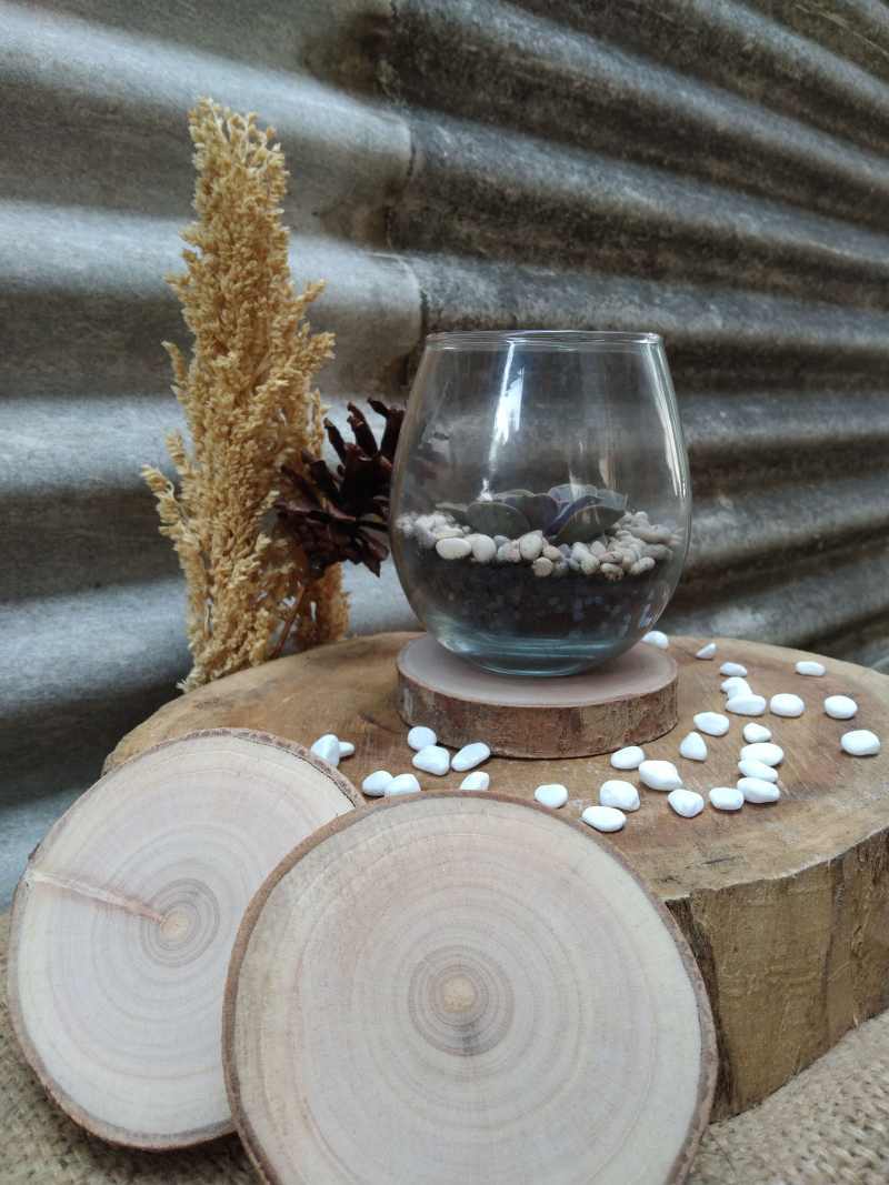 Jual Gelas Terrarium Medium Dan Tatakan Kayu Natural Vas Kaca Alas ...