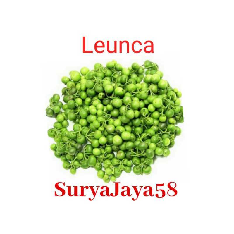 Promo Leunca 250g Diskon 18% di Seller SuryaJaya58 - Kota Jakarta ...
