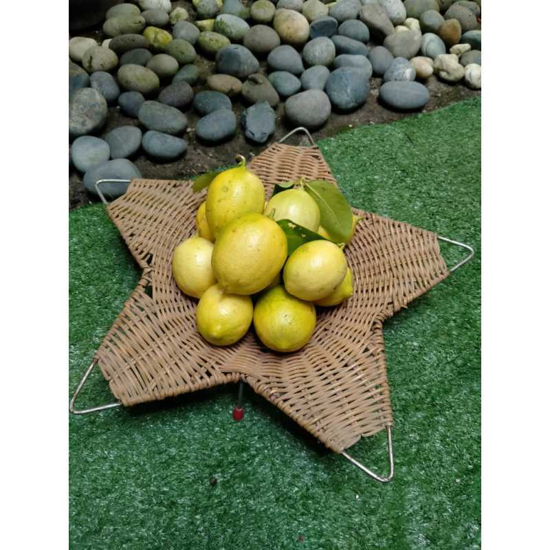 Jual Lemon Lokal 1kg Non Pestisida *Pekanbaru* Halal di Seller Pohon ...