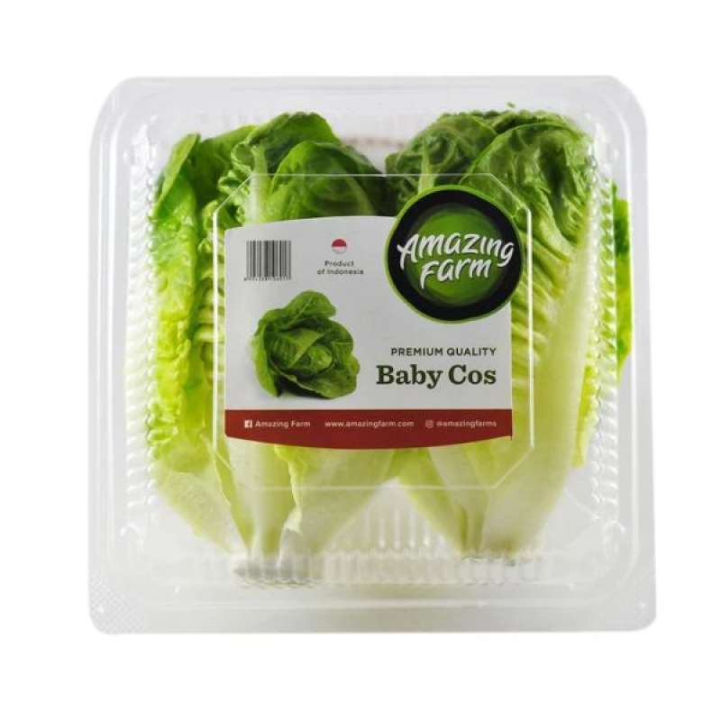 Jual Amz Lettuce Cos Baby Di Seller Ranch Market Official Store - Ranch ...