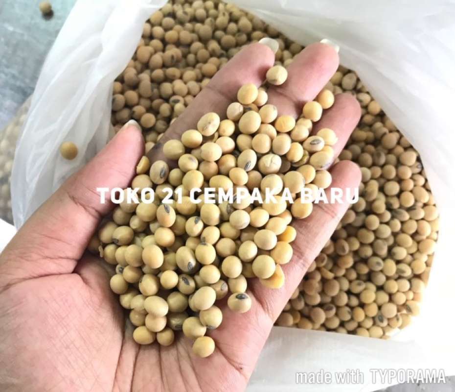 Jual Kacang Kedelai Impor Amerika Super 1kg Biji Mentah Import 1 Kg ...