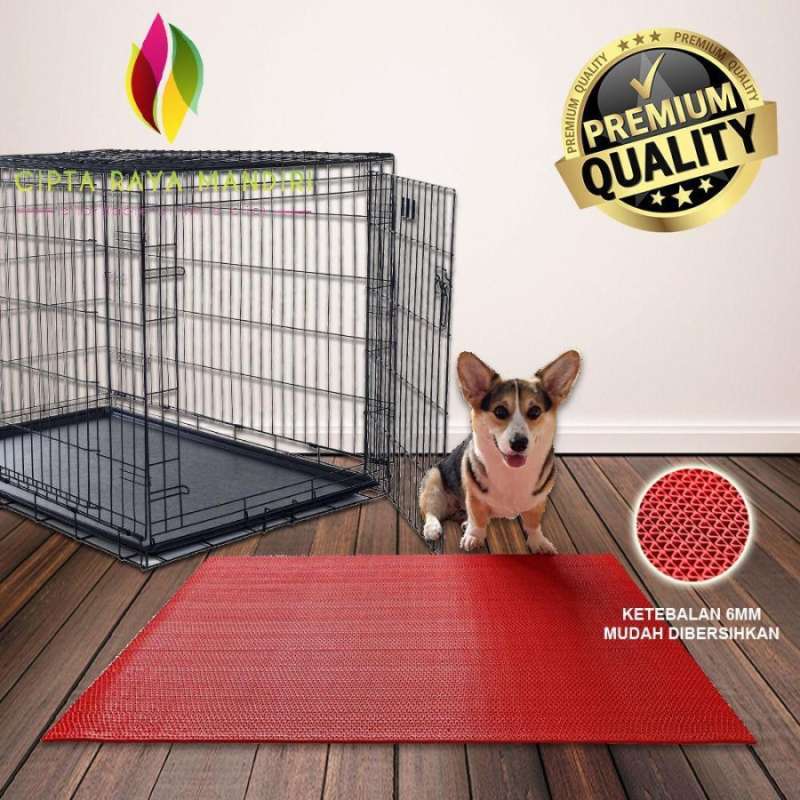 Jual Alas Kandang Kucing/Alas Kandang Anjing/Alas Kandang Tortoise ...