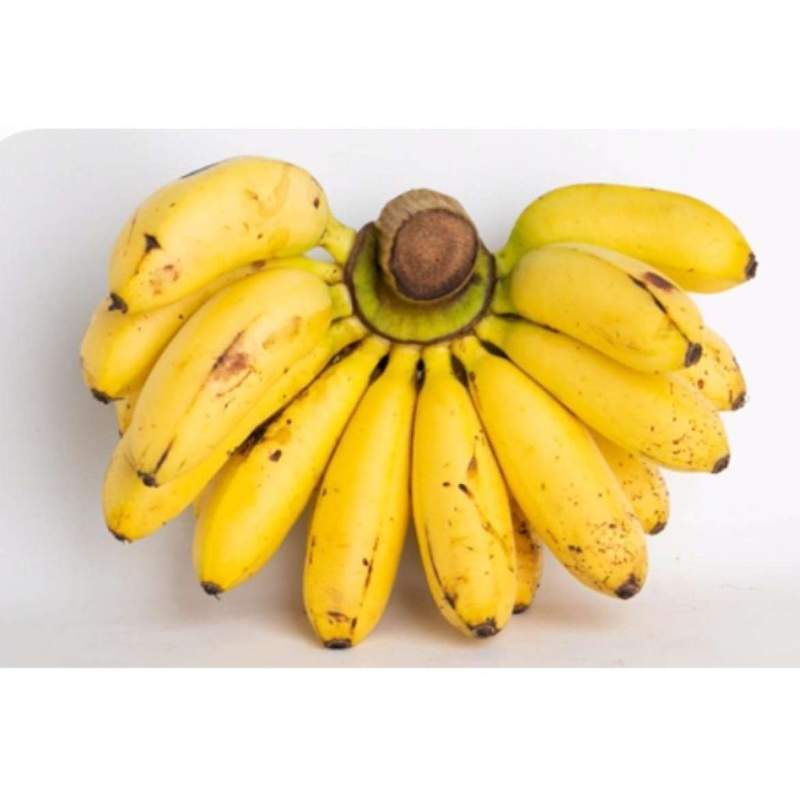 Jual pisang emas asli /Pisang Mas UKURAN BESAR SUPER GRADE A PISANG ...