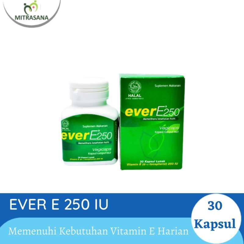 Ever - Harga Terbaru Mei 2024 | Blibli